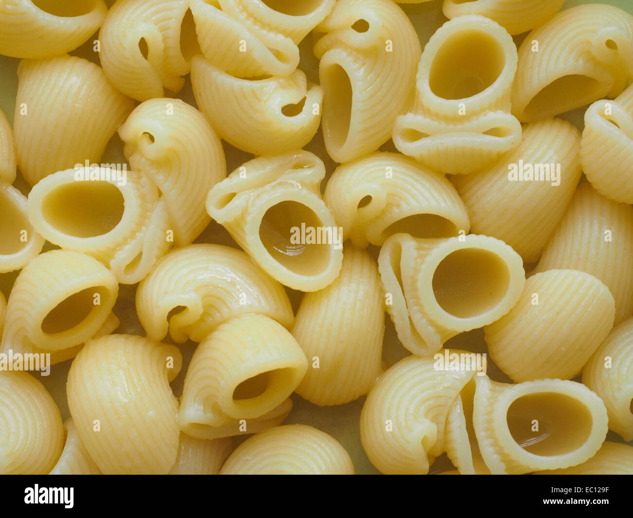 Snails macaroni pasta traditional mediterranean food from Italy Stock ...