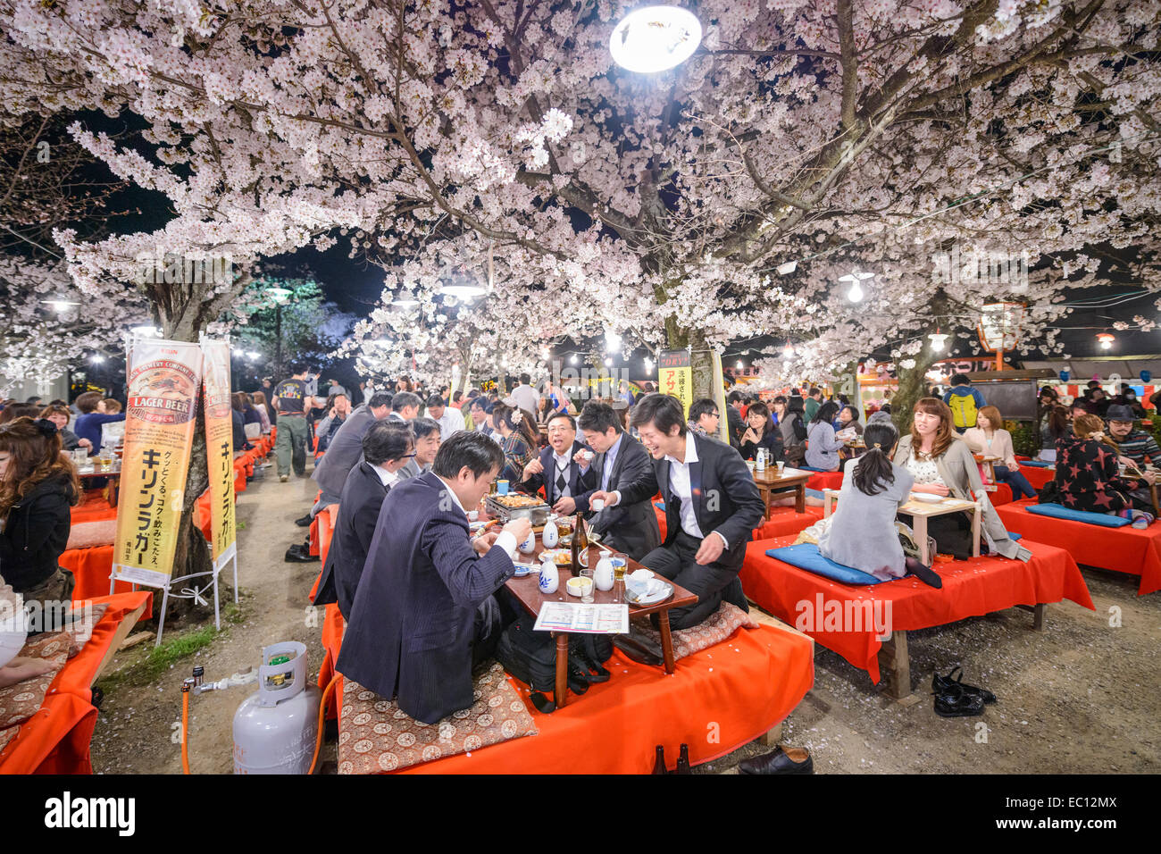 People enjoy the spring season by partaking in nighttime Hanami flower ...