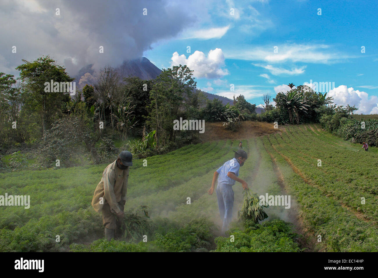 Pyroclastic flow indonesia hi-res stock photography and images - Alamy