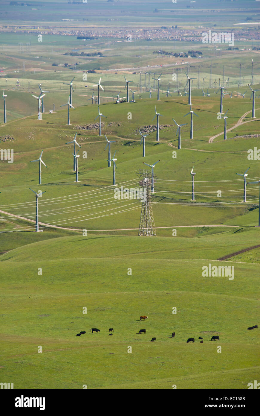 Farm feature hi-res stock photography and images - Alamy