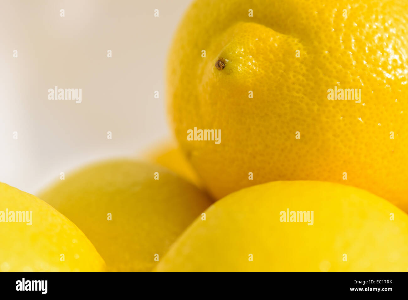 Yellow lemon citrus limon hi-res stock photography and images - Alamy