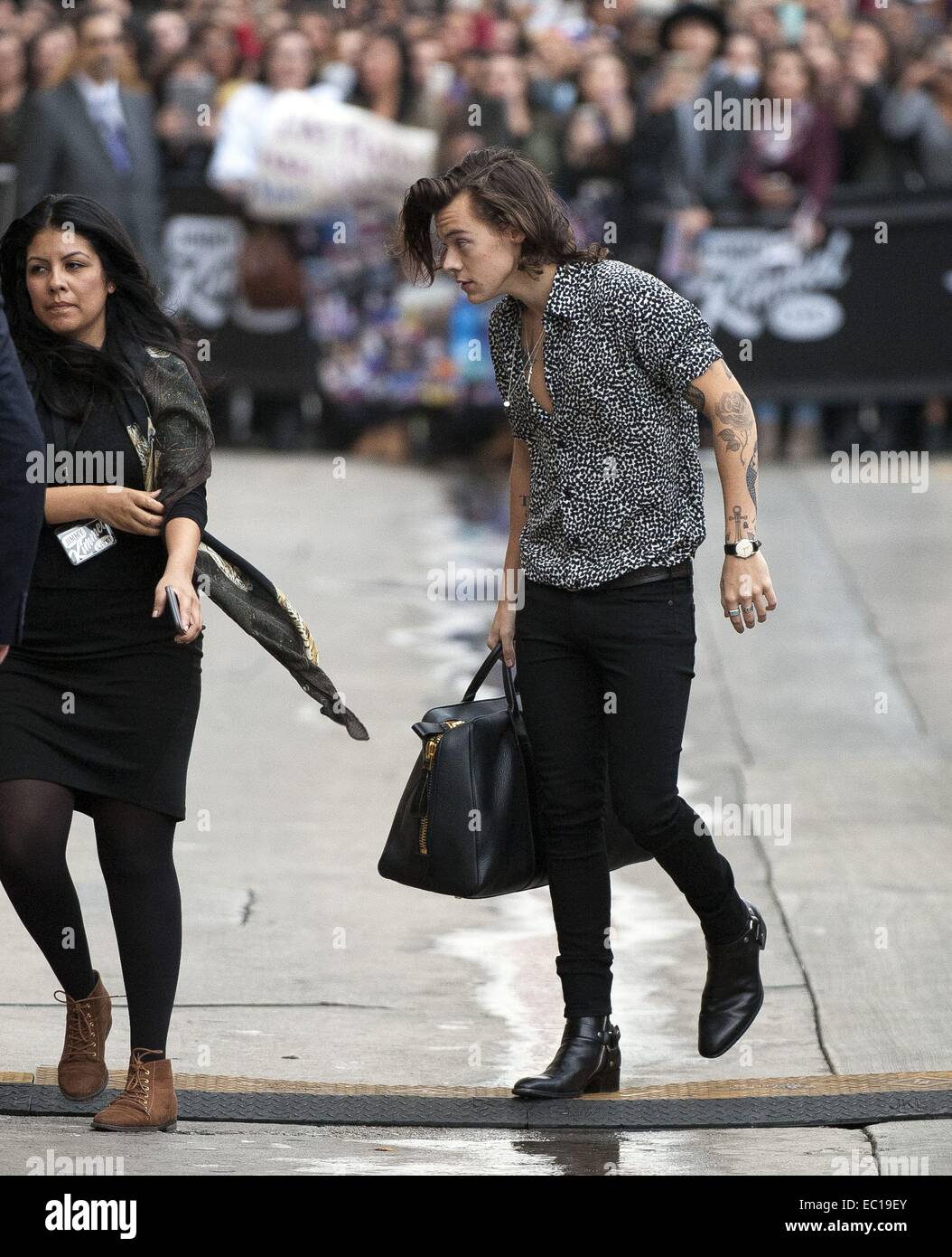 Hollywood, California, USA. 20th Nov, 2014. English rocker, Harry ...