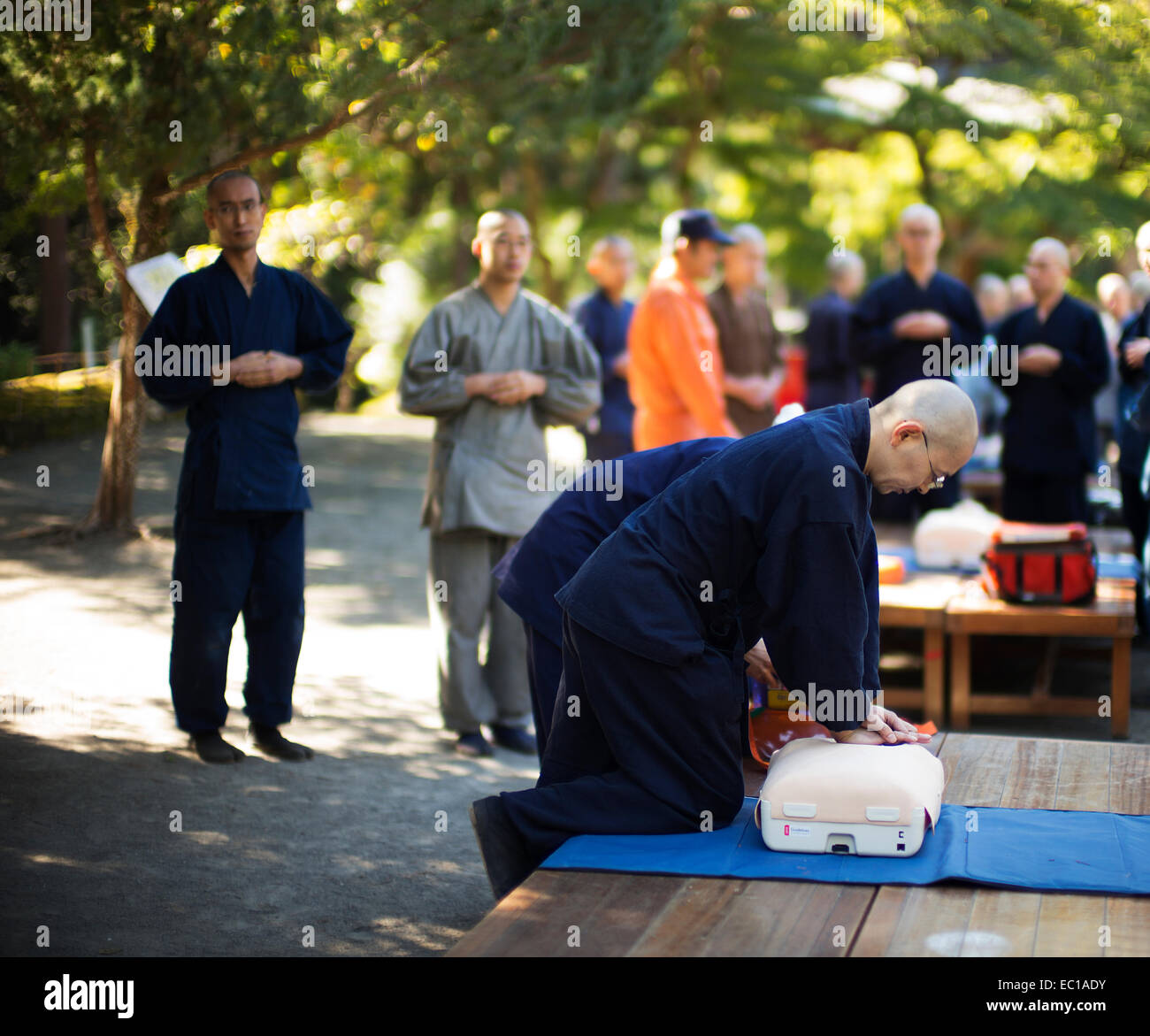 Monks learning CPR in the temple grounds, Kamakura, Japan Stock Photo ...
