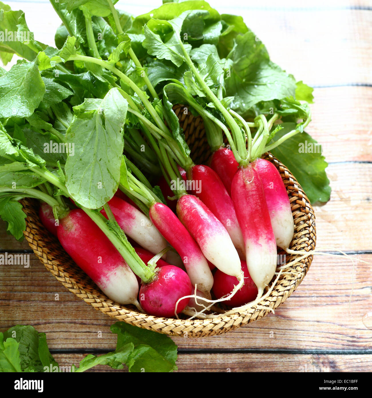 Red radishes in white hi-res stock photography and images - Alamy