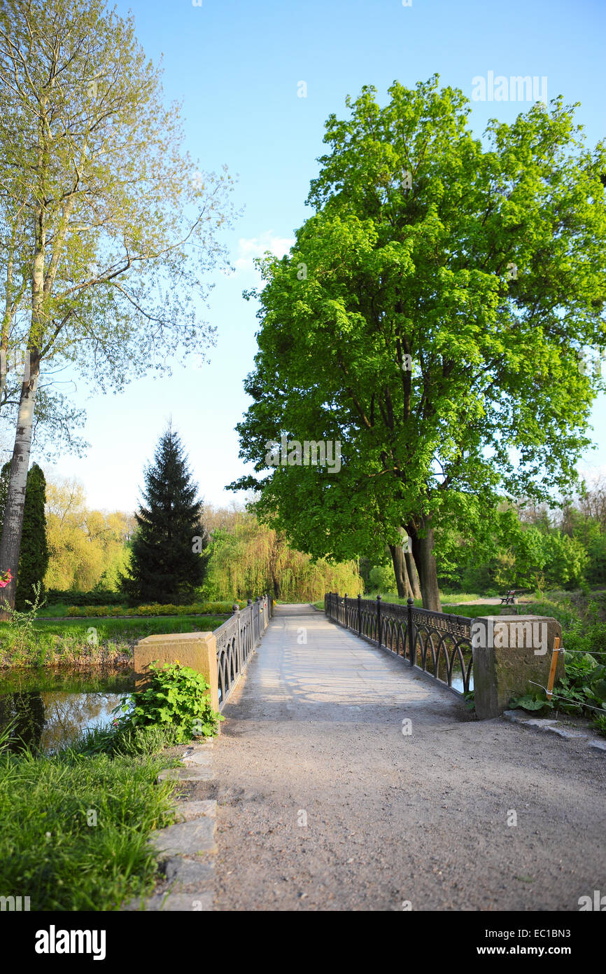 Bridge leading to the summer park, nature Stock Photo - Alamy