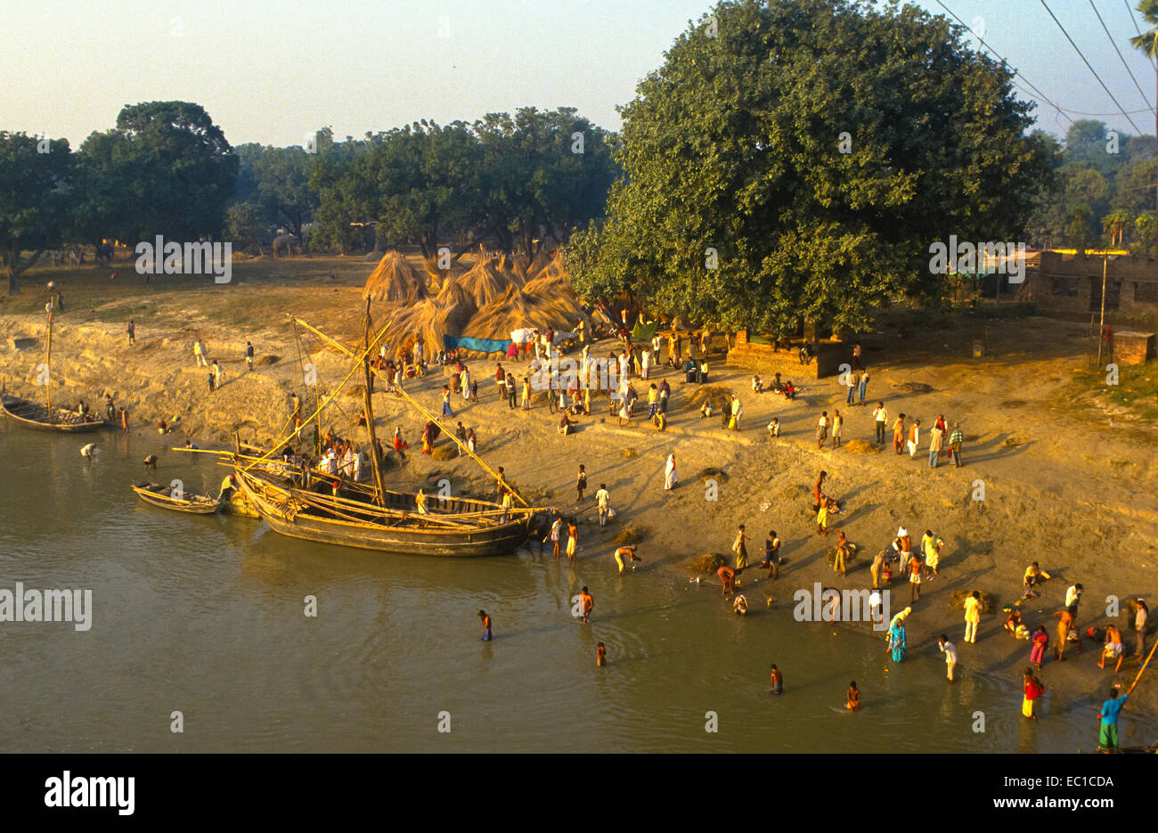 Sonepur cattle fair hi-res stock photography and images - Alamy