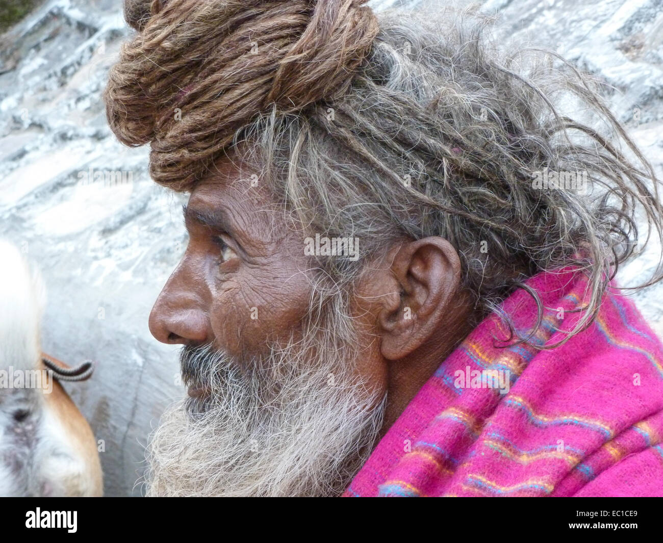 India hinduism sadu hi-res stock photography and images - Alamy