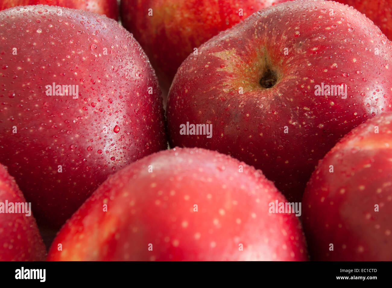 Red apples covered with condensation Stock Photo - Alamy