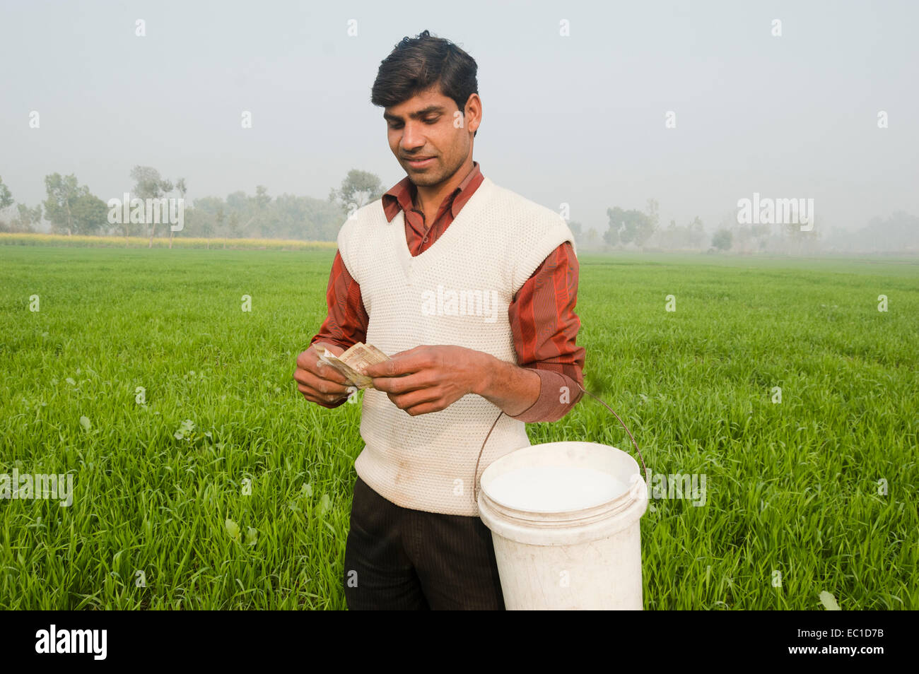 Money crops hi-res stock photography and images - Alamy