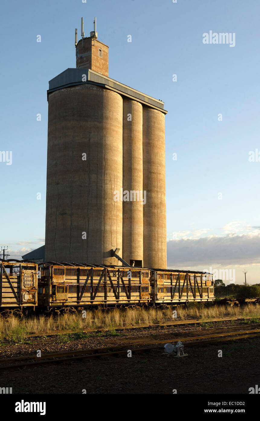Grain Silo For Sale South Australia at Lindsay Johnson blog