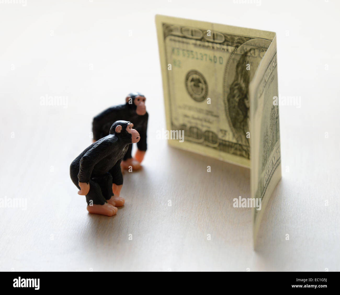 monkey and money Stock Photo - Alamy