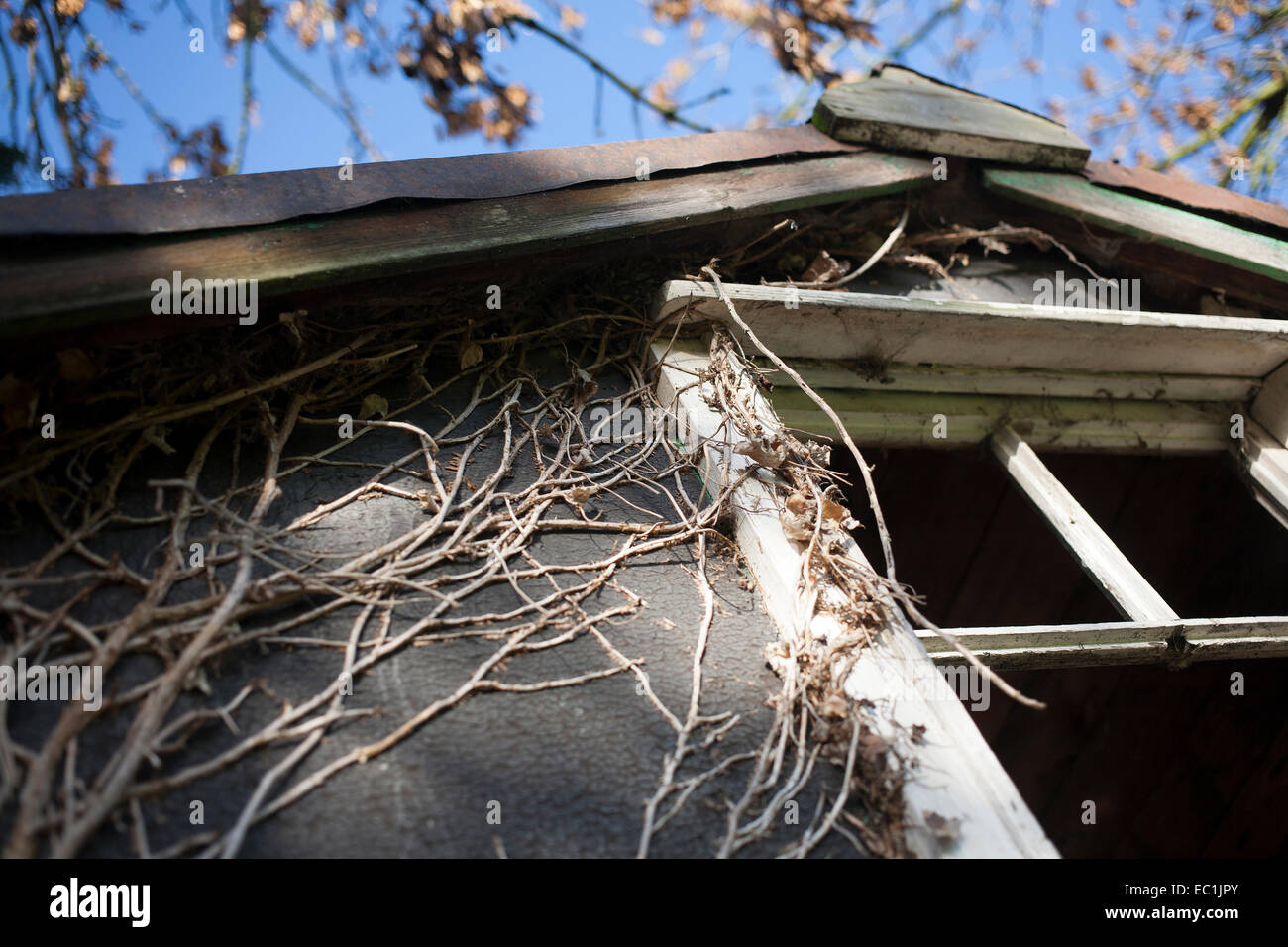 Detail of wood framed attic window of abandoned house with glass ...