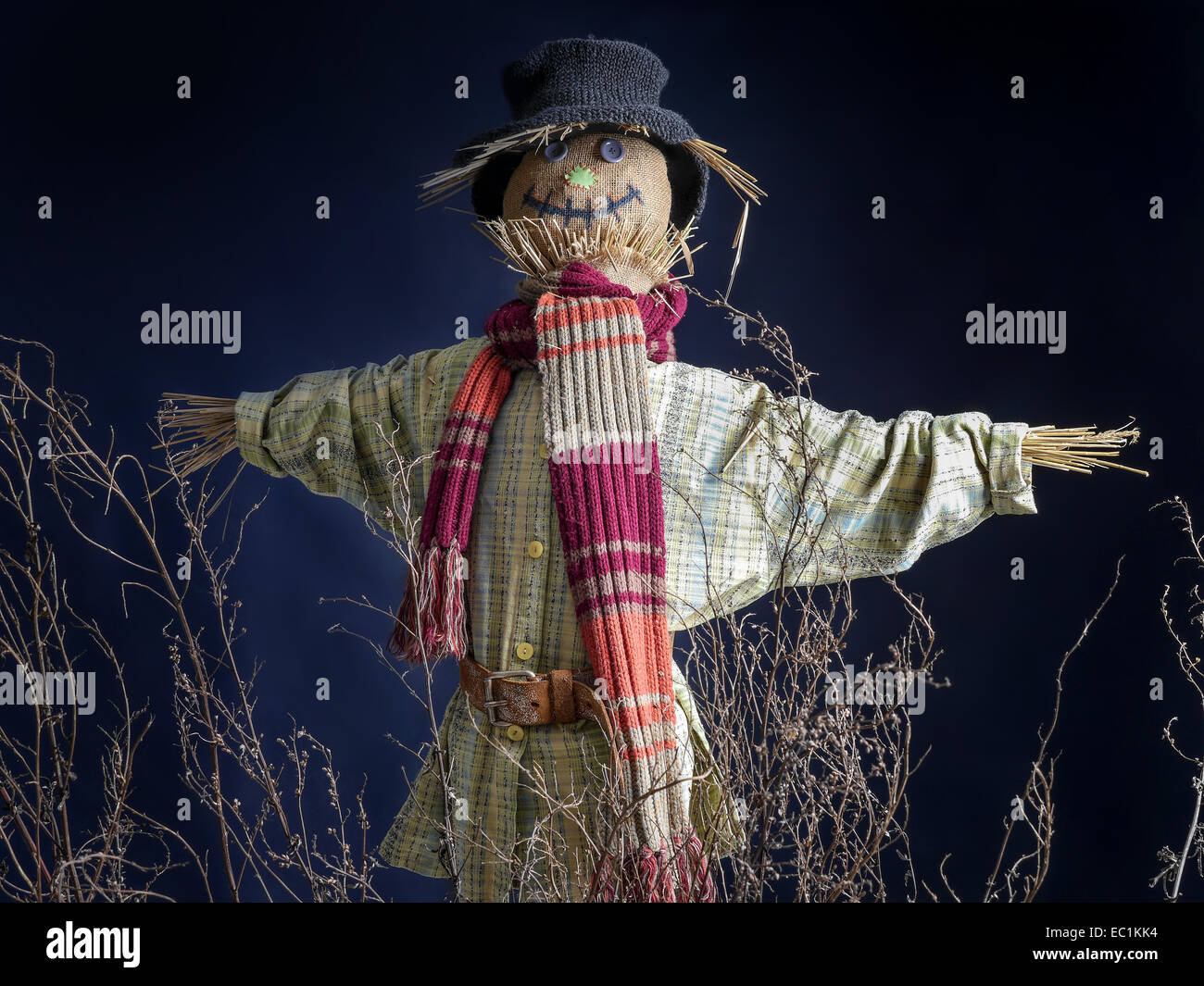 Scarecrow on dark blue background Stock Photo - Alamy