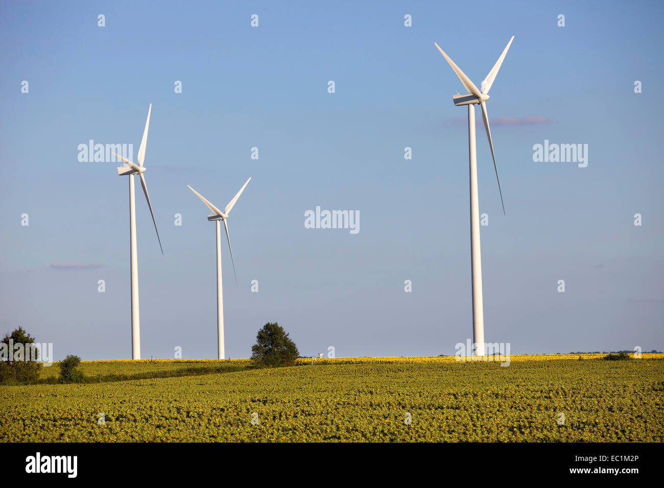 farm of windturbines in the north of France Stock Photo - Alamy