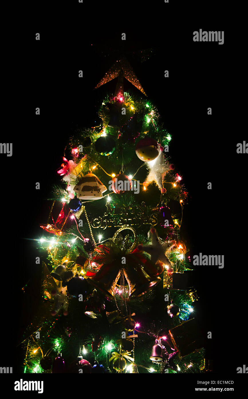 Tree lighting festival hi-res stock photography and images - Alamy