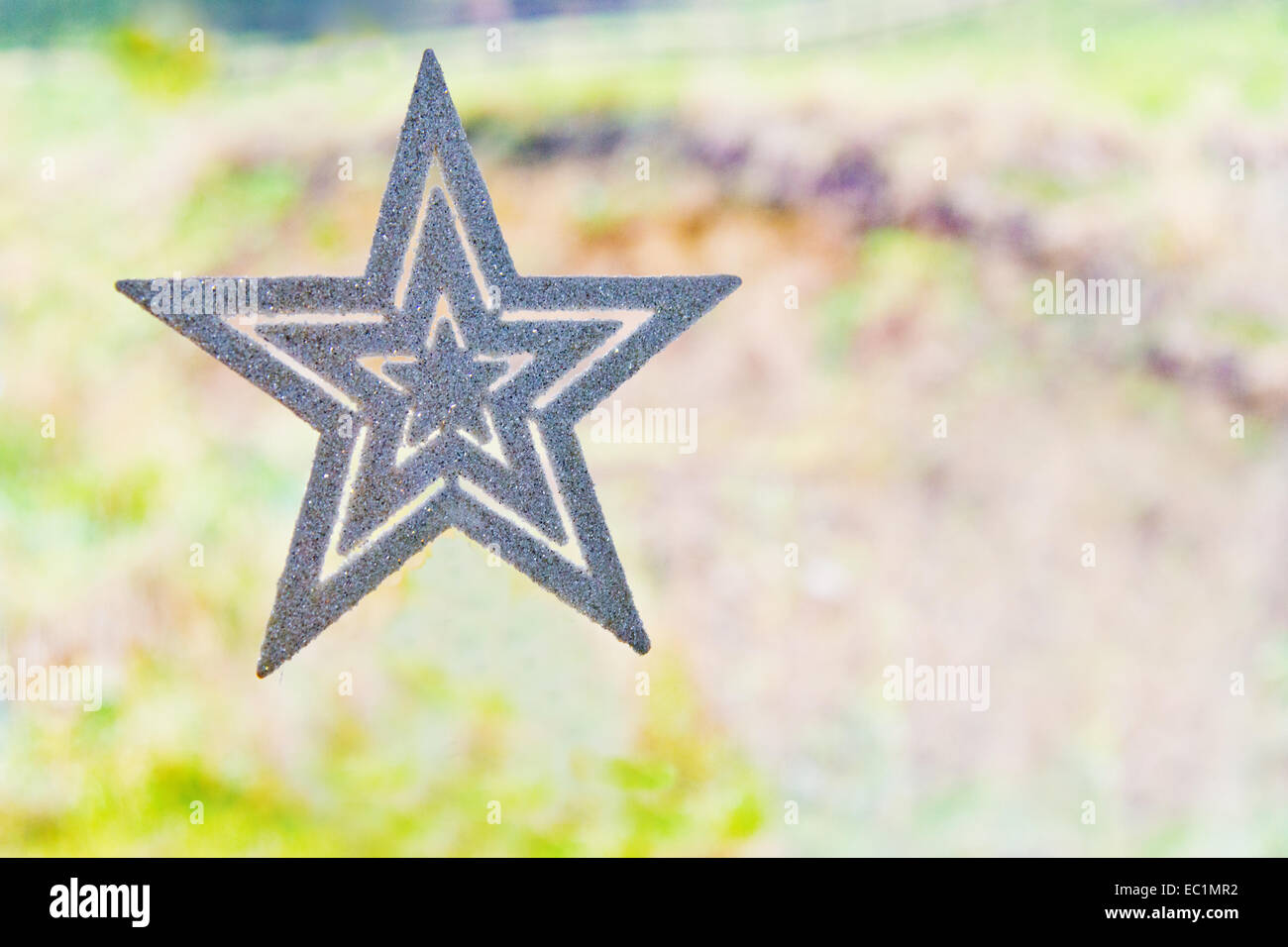 a christmas star with colored unfocused background Stock Photo - Alamy