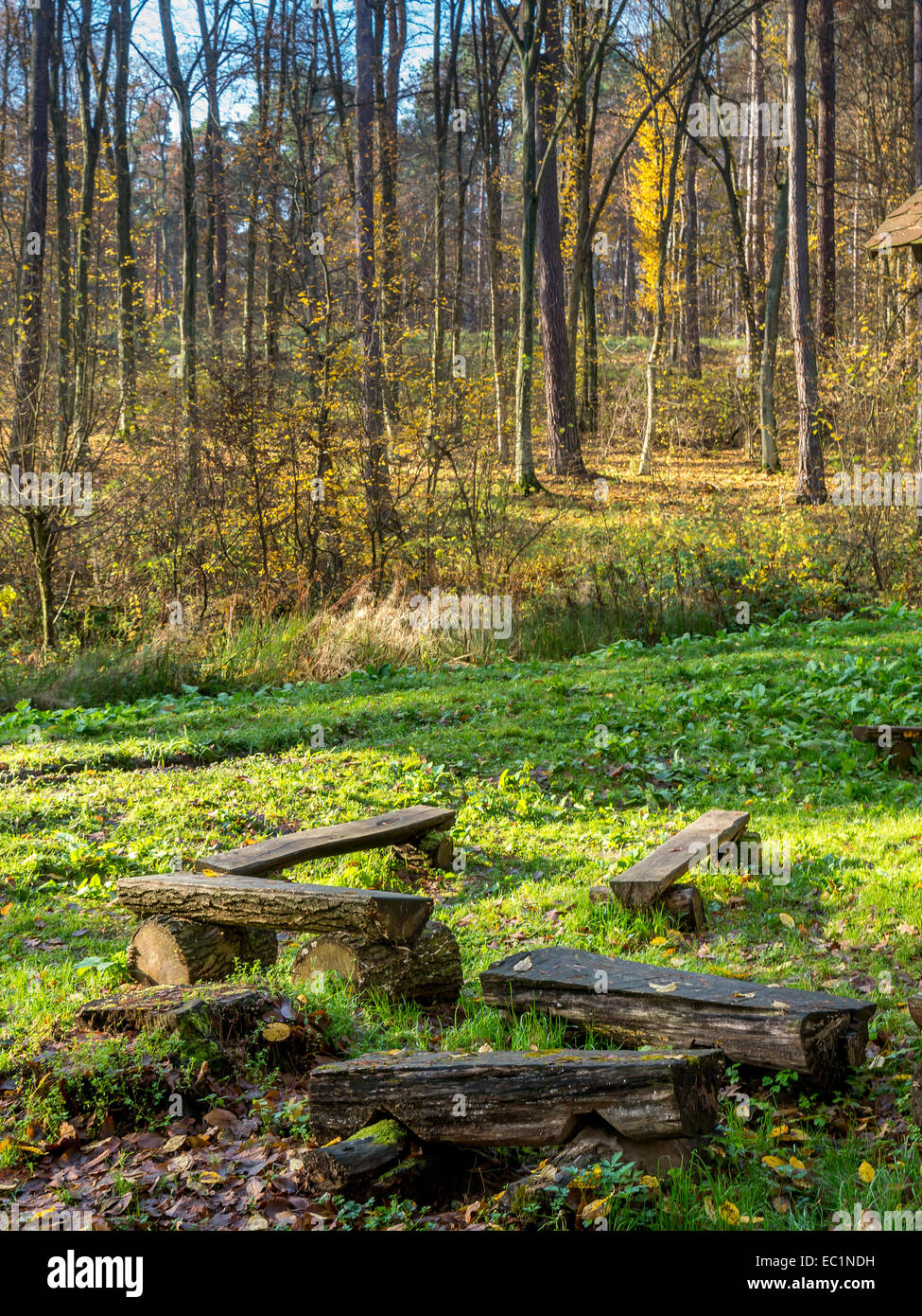 Clearing dead plants hi-res stock photography and images - Alamy