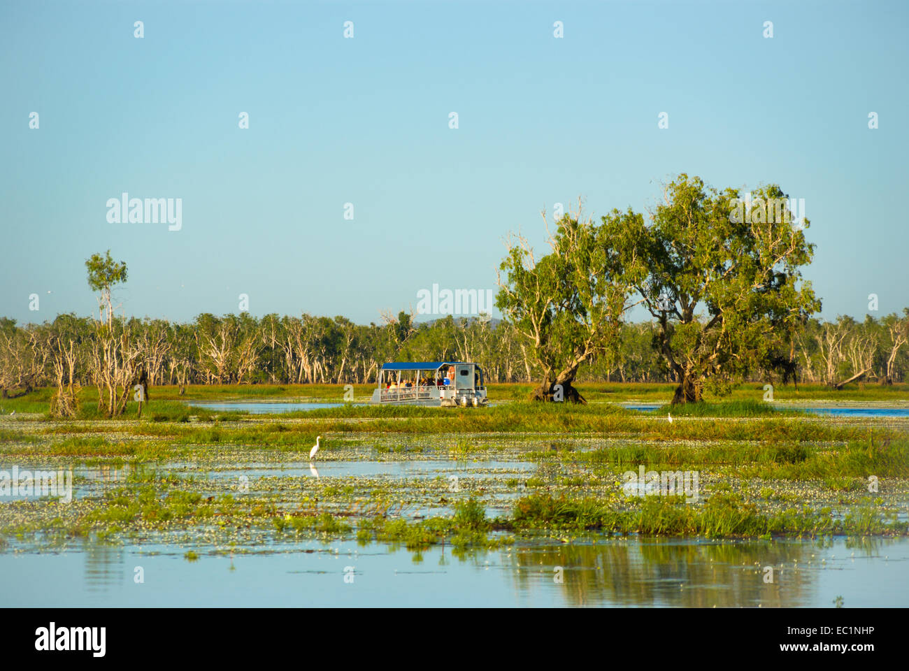 Yellow water billabong kakadu bird hi-res stock photography and images ...