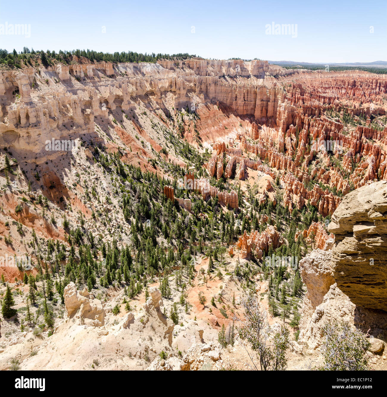 A view of Bryce Amphitheater at Bryce Canyon, Utah, America Stock Photo ...