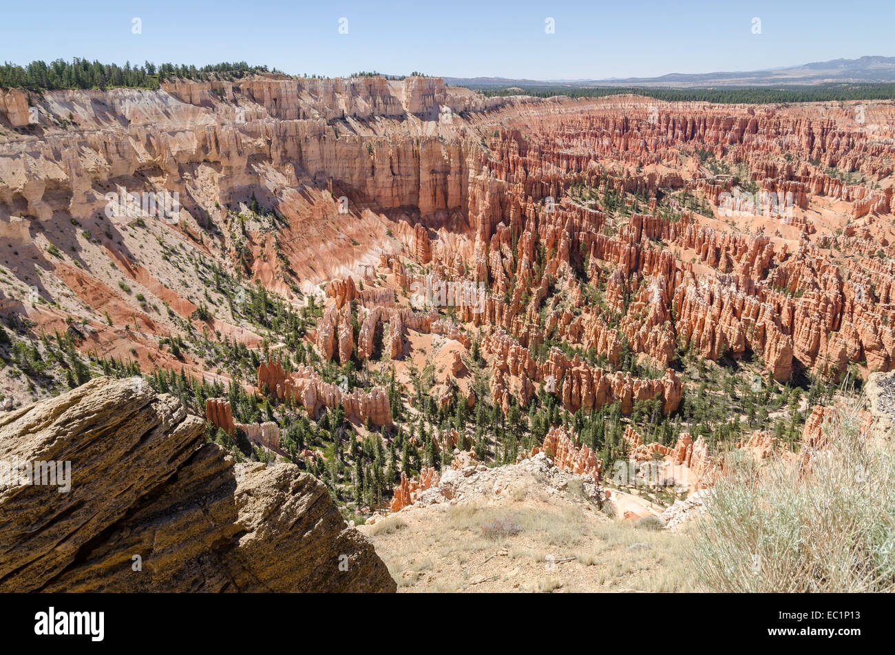 A view of Bryce Amphitheater at Bryce Canyon, Utah, America Stock Photo ...
