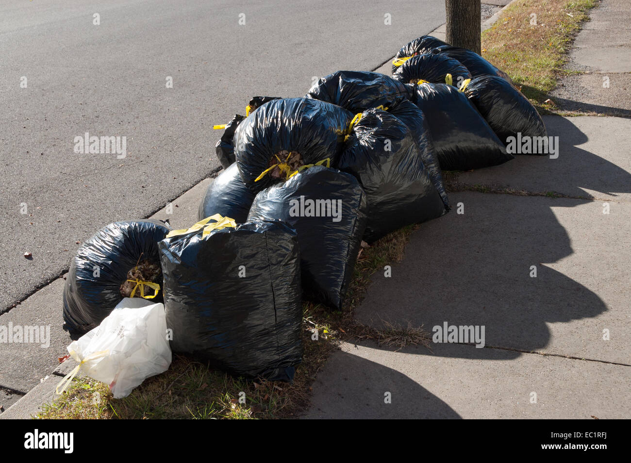 Bags of trash at the curbside Stock Photo - Alamy