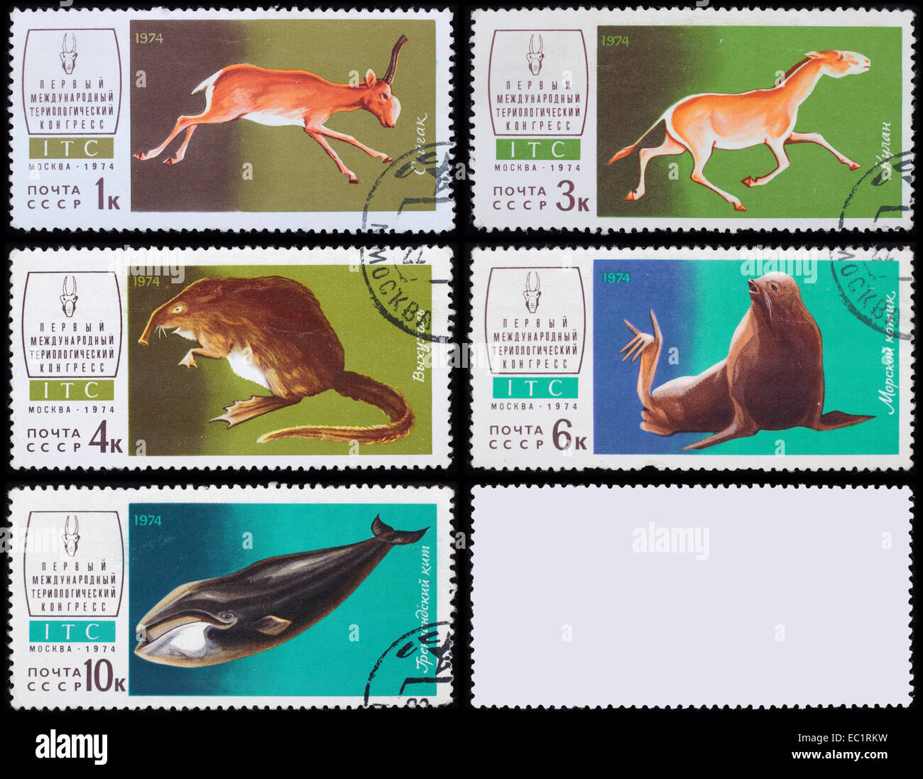 Soviet - circa 1974: A post stamp printed in the Soviet shows image of ...
