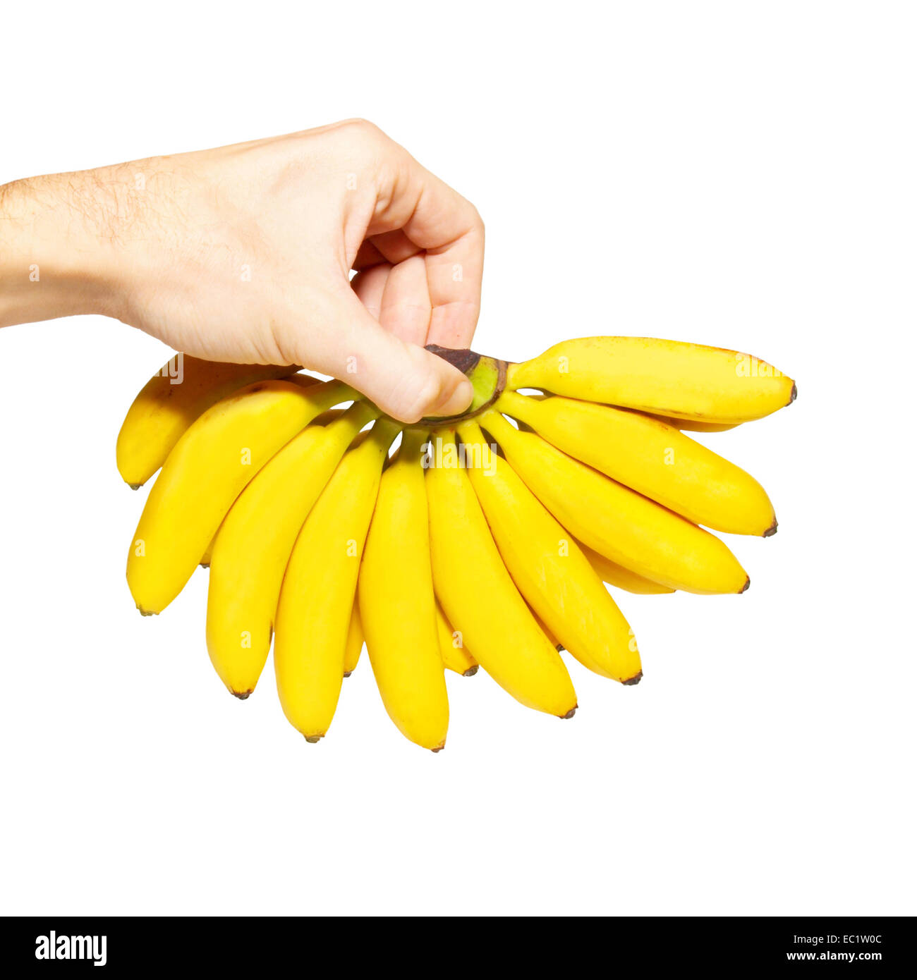 Butch of small bananas in a hand Stock Photo - Alamy