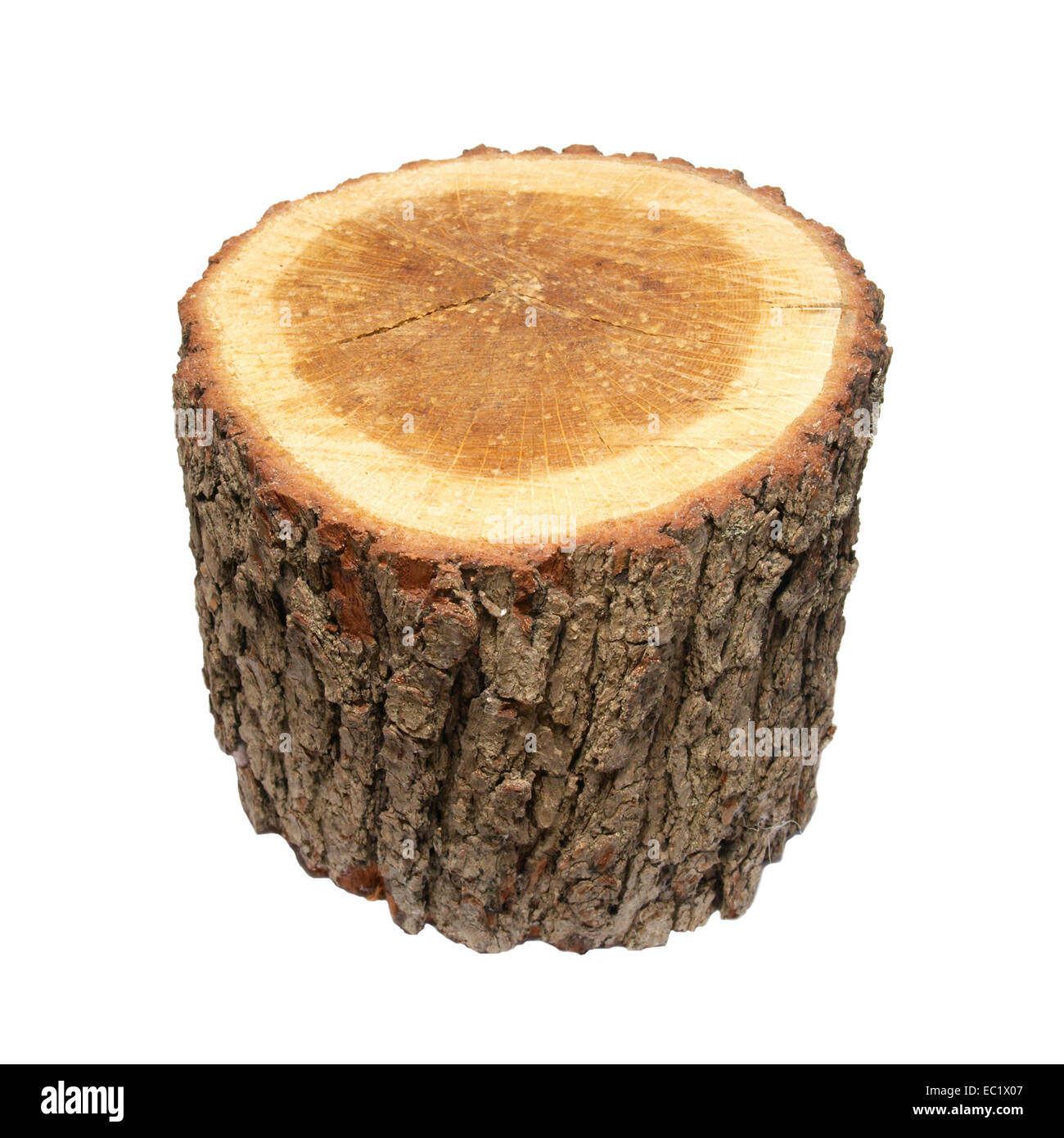 Wooden stump isolated on white Stock Photo - Alamy
