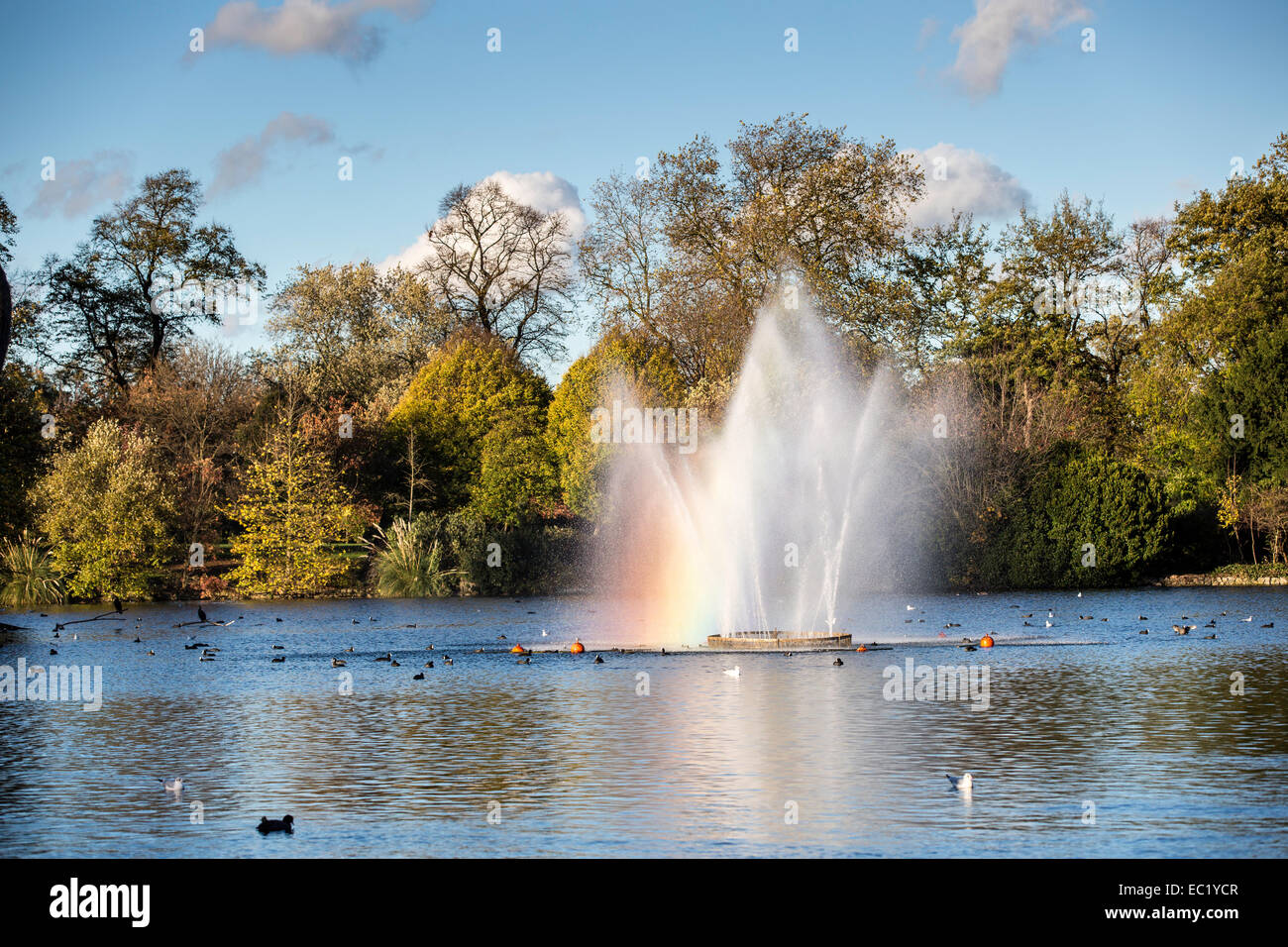 Fountain in the lake, Victoria Park, Hackney, E9, London, United ...