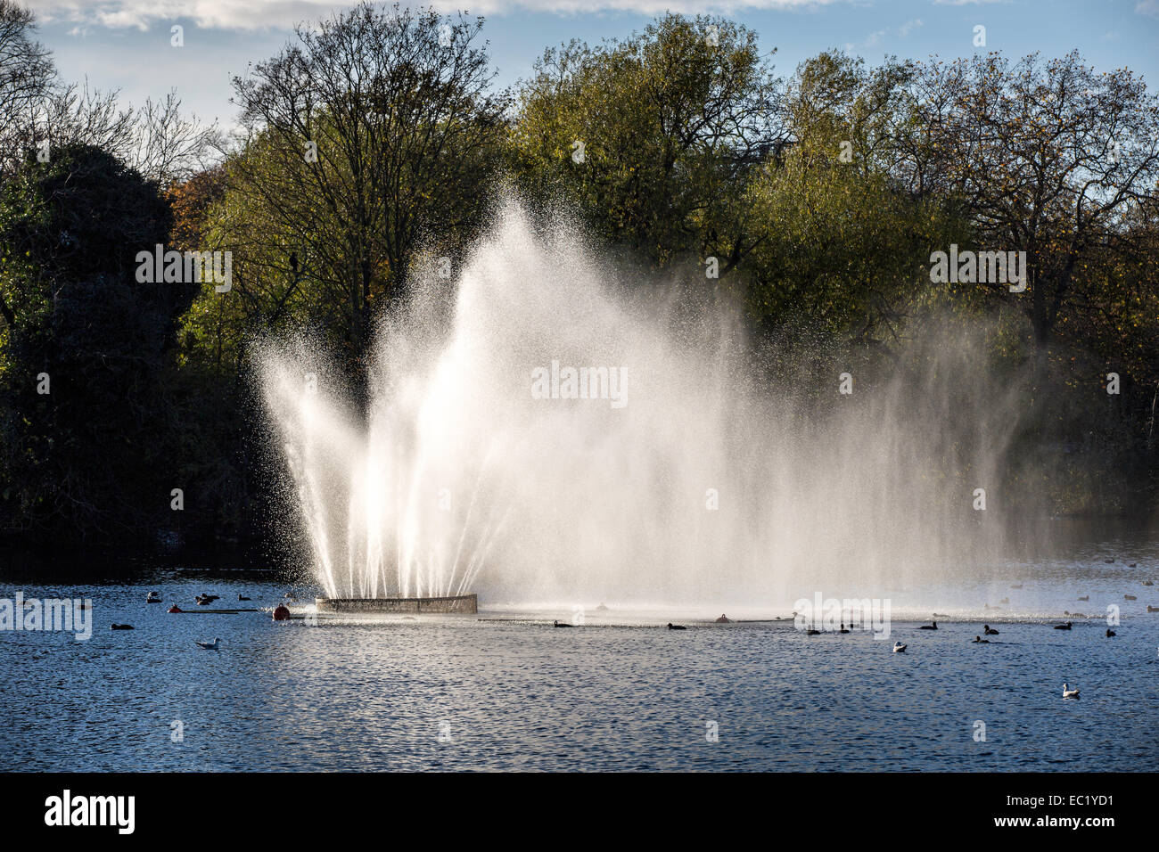 Fountain in the lake, Victoria Park, Hackney, E9, London, United ...