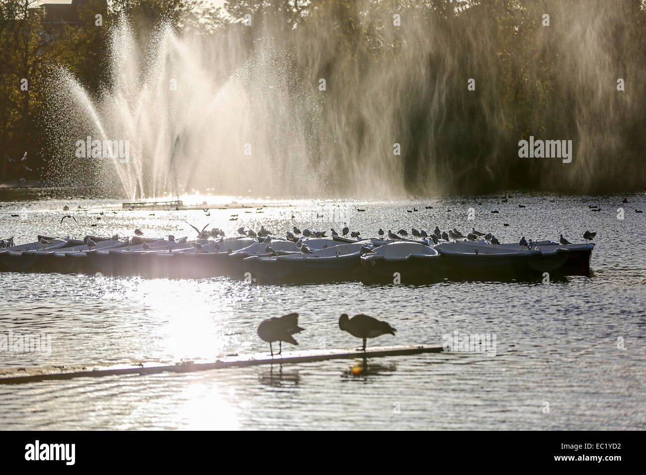 Victoria Park Boating Lake High Resolution Stock Photography and Images ...