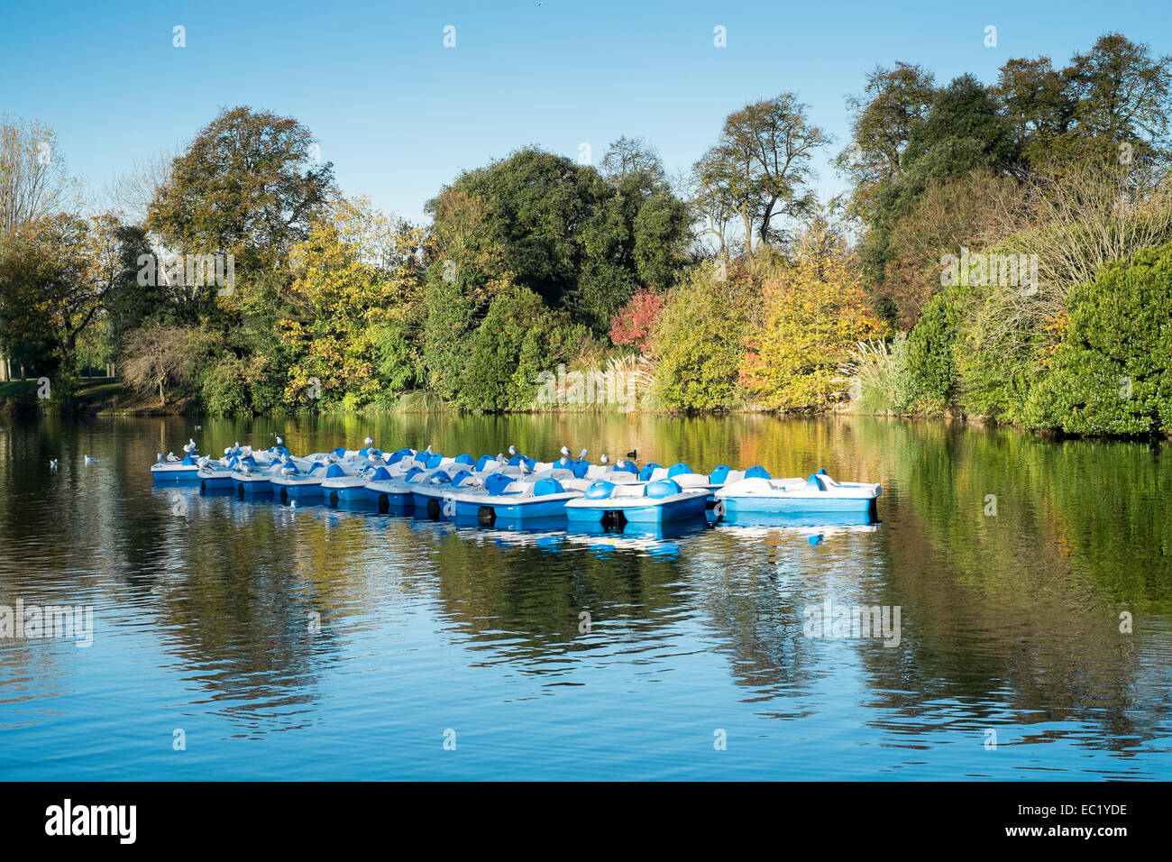 Boating lake uk hi-res stock photography and images - Alamy