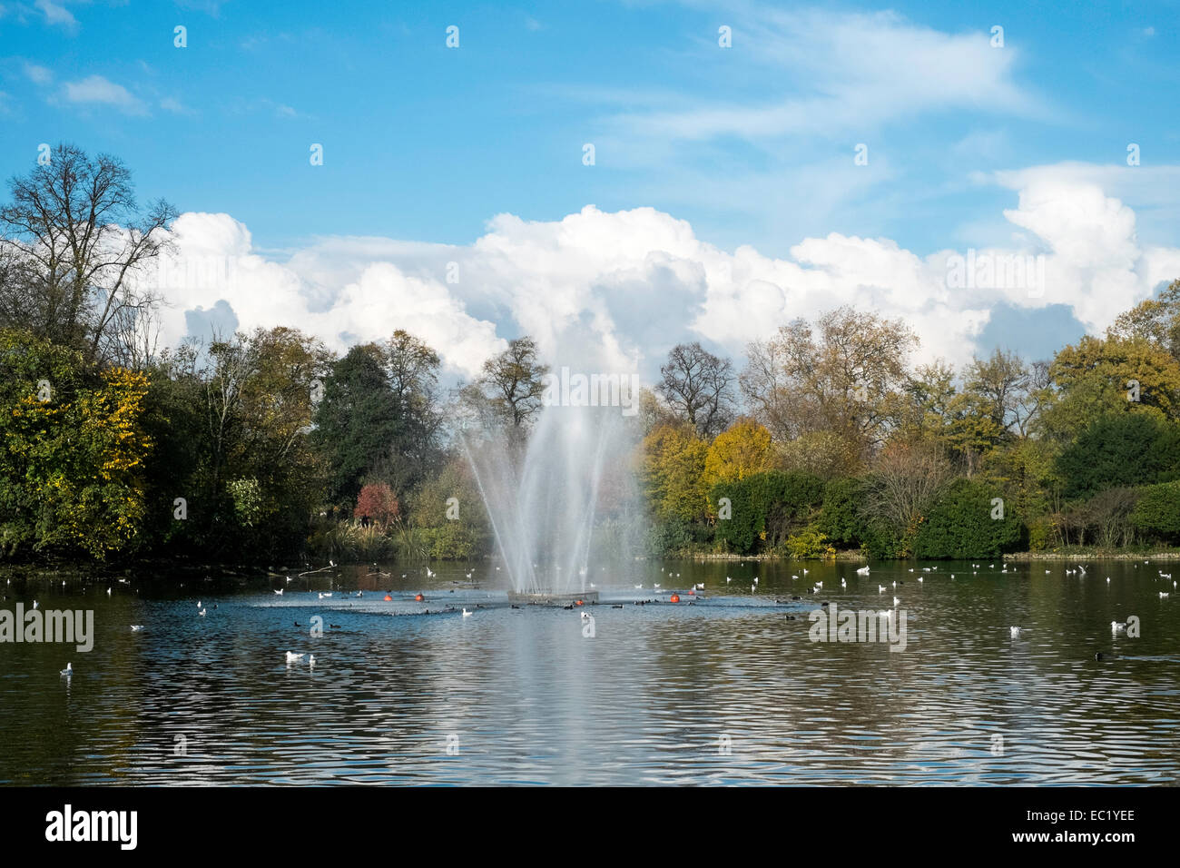 Victoria Park, Hackney, London, United Kingdom Stock Photo - Alamy