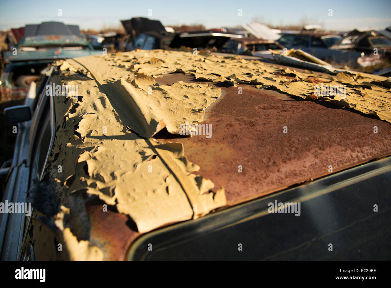 Decaying roof of a car Stock Photo - Alamy