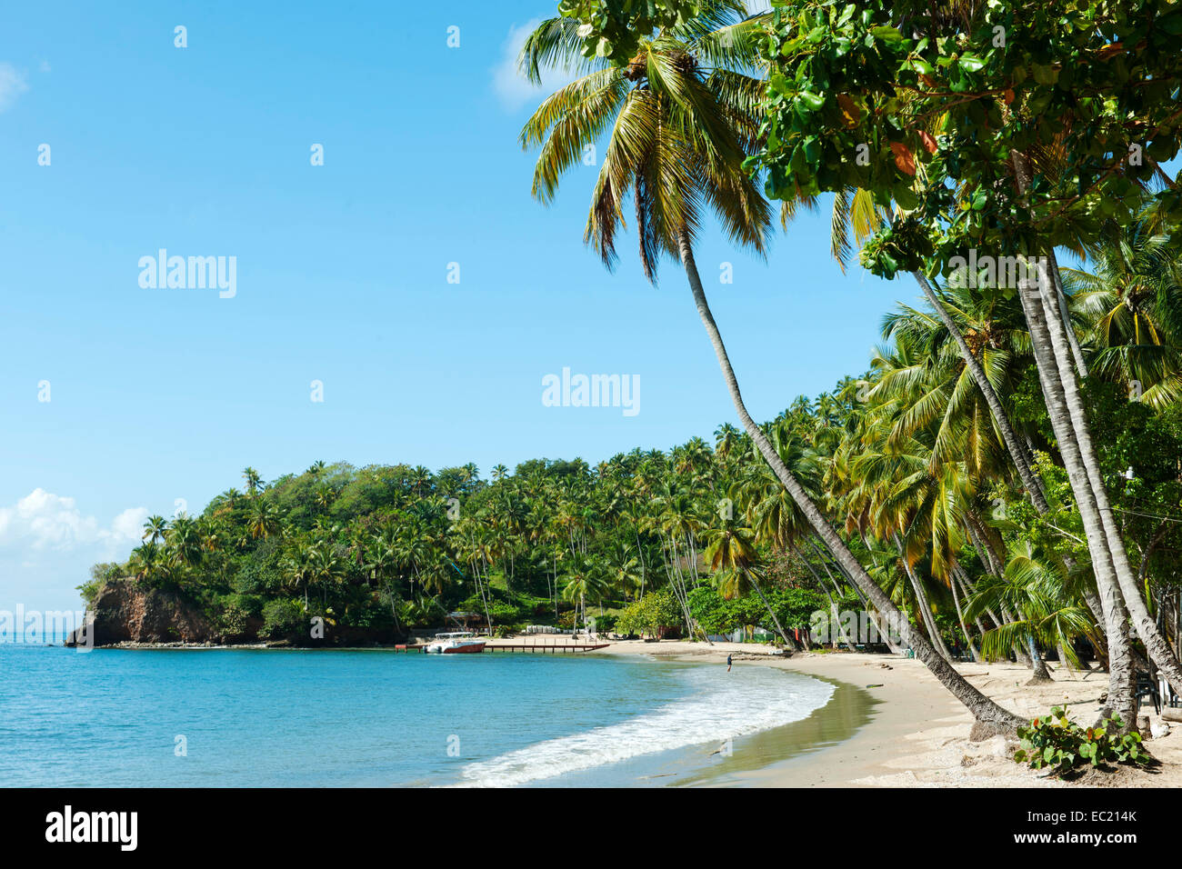 Dominikanische Republik, Halbinsel Samana, Santa Barbara de Samana ...