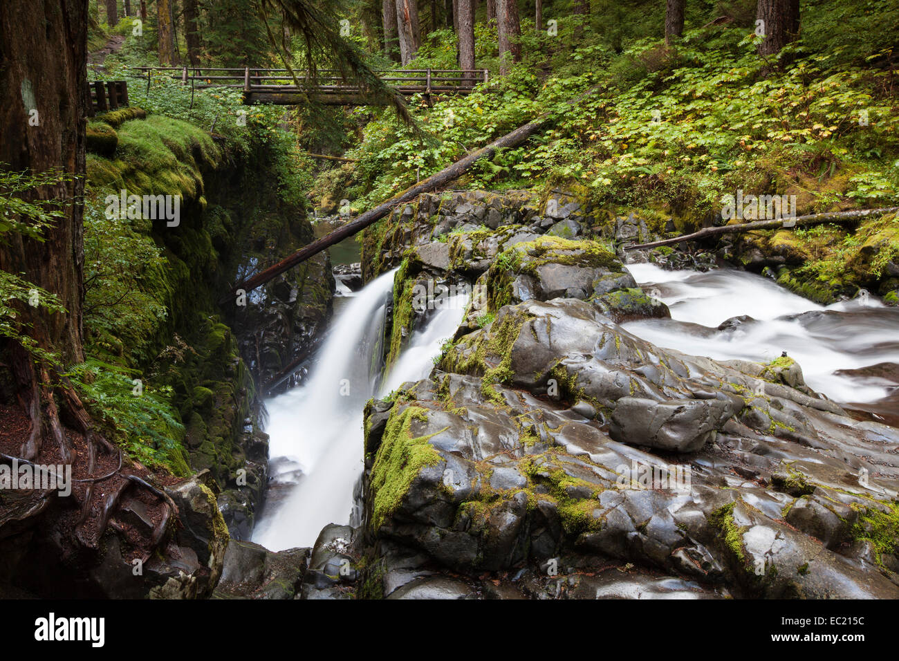 Sol duc hi-res stock photography and images - Alamy