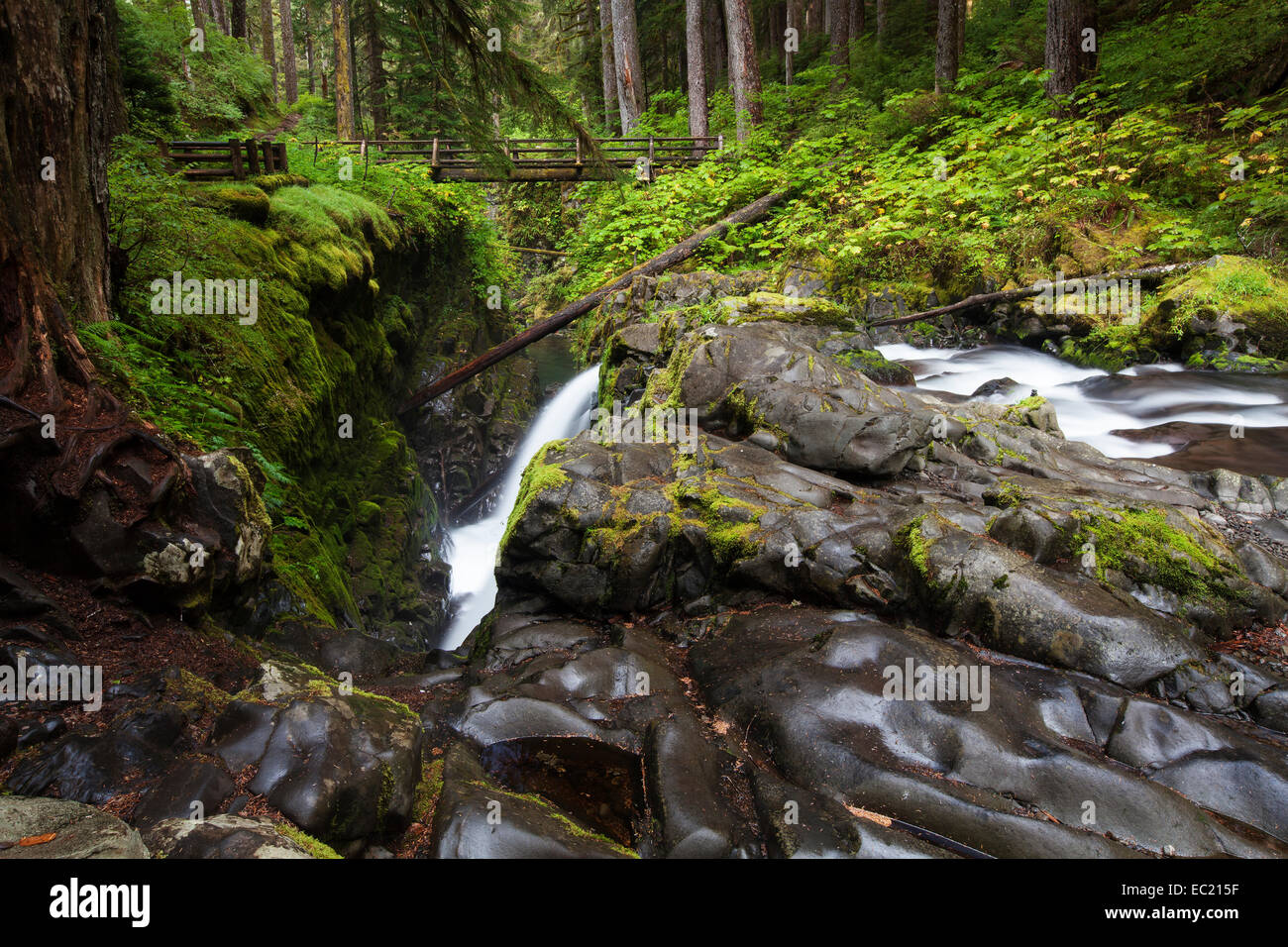 Sol duc hi-res stock photography and images - Alamy