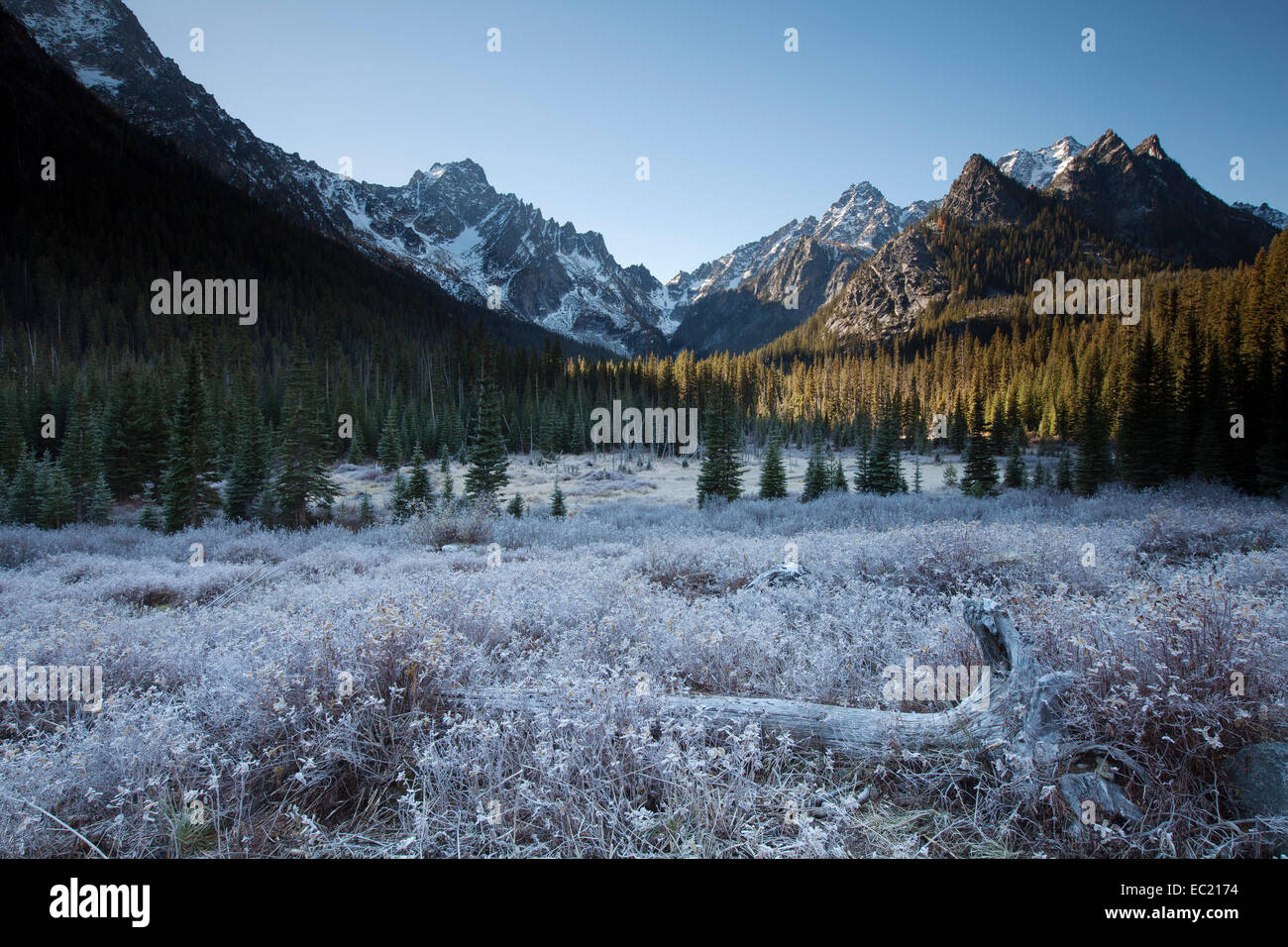 Hoar frost on the Stuart Lake Trail in The Enchantments, Washington ...