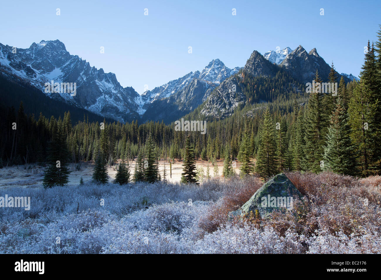Hoar frost on the Stuart Lake Trail in The Enchantments, Washington ...