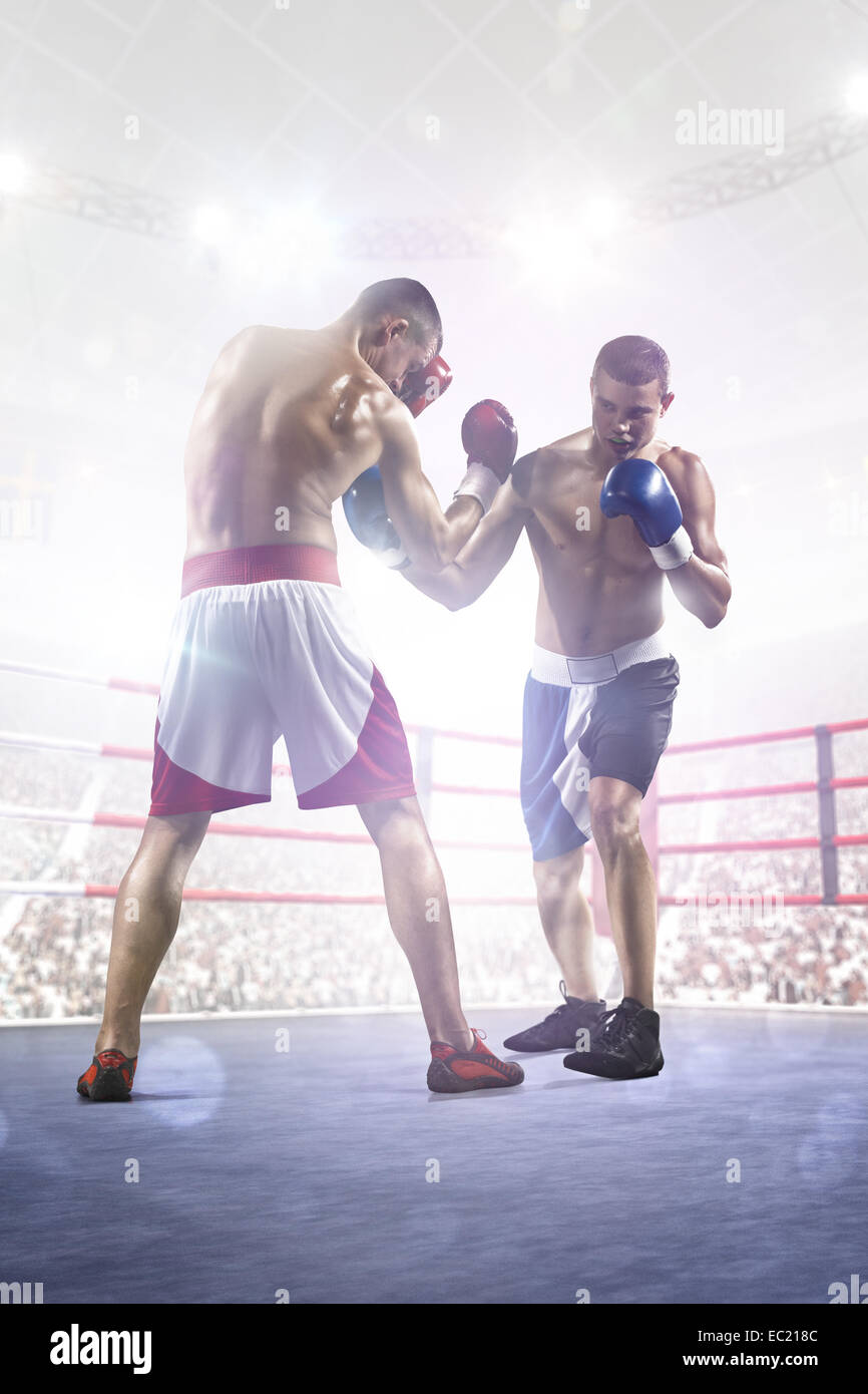 Two professionl boxers are fighting on arena Stock Photo - Alamy