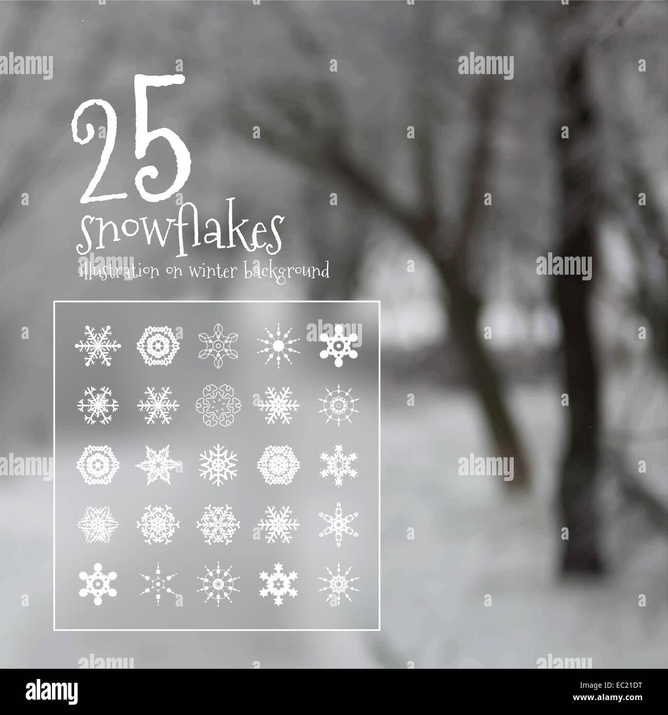Vector snowflakes hi-res stock photography and images - Alamy