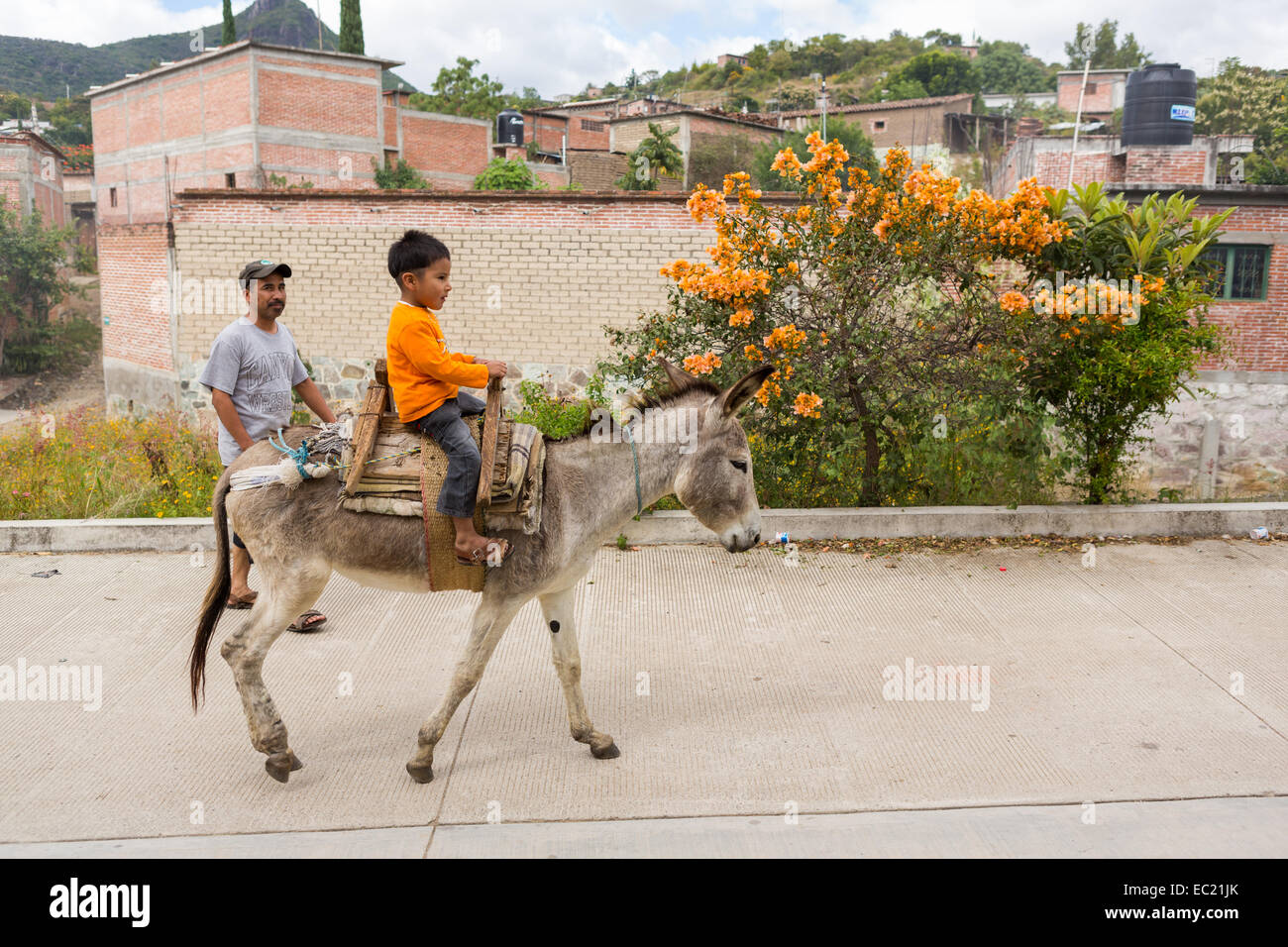 A young Mexican boy rides a donkey watched by his father in the village ...