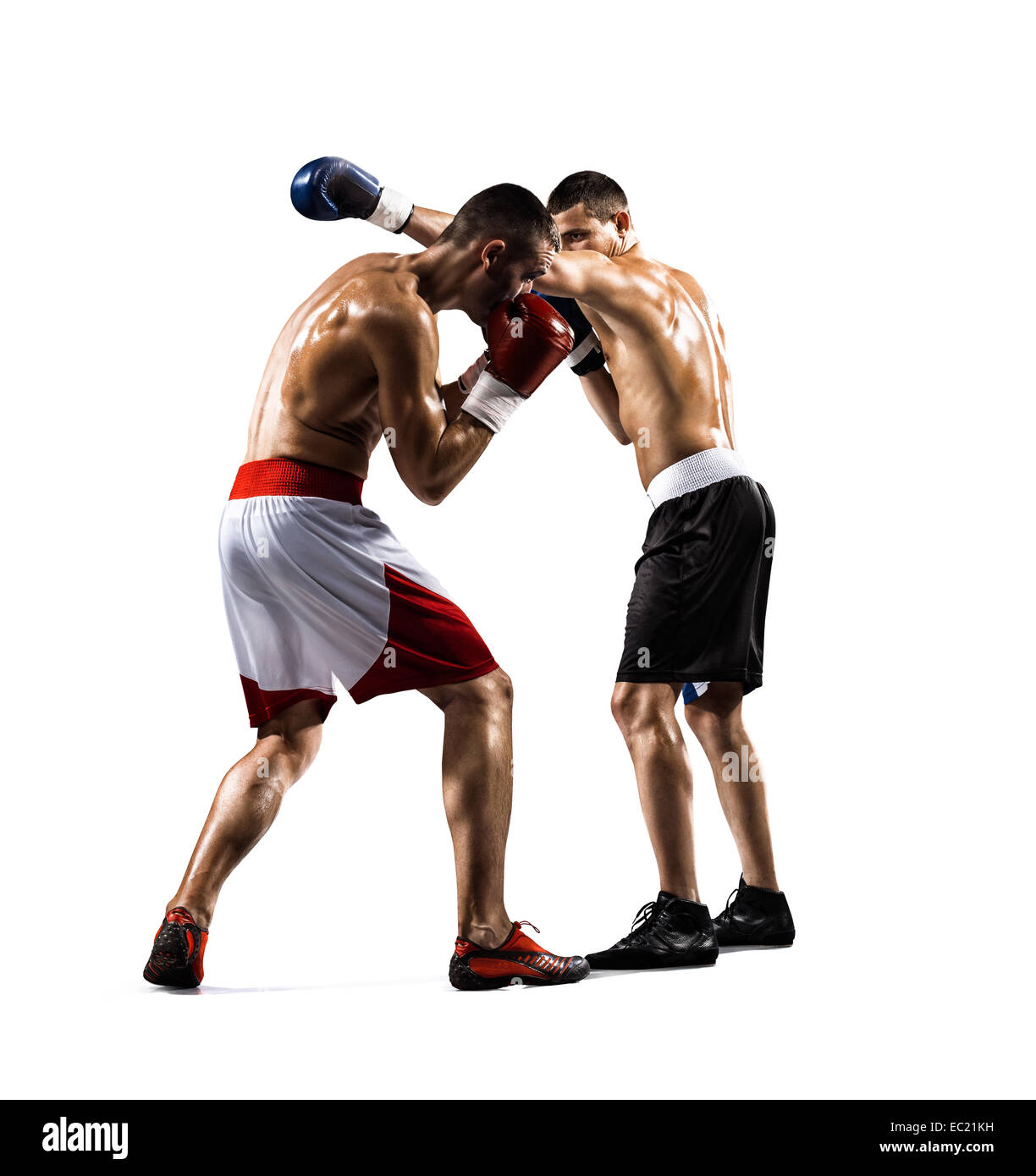 Two professionl boxers are fighting on the white Stock Photo - Alamy
