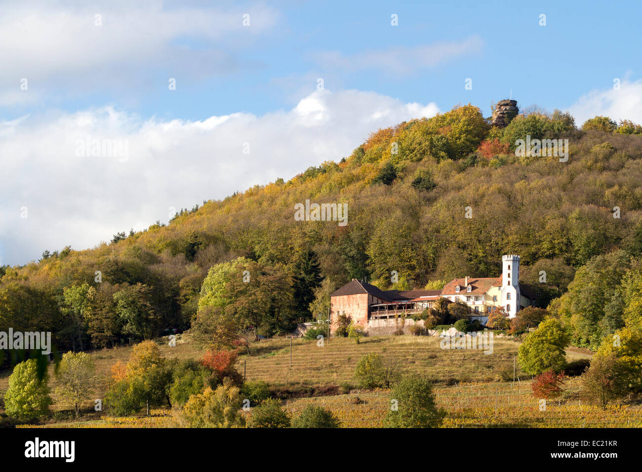 Slevogthof Neukastel mansion at Leinsweiler, Southern Wine Route ...