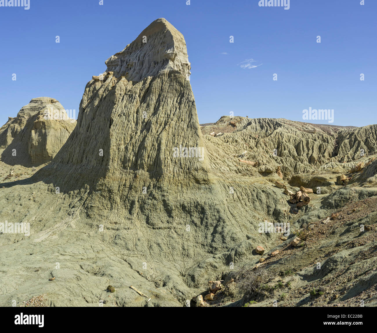 Petrified forest Bosque Petrificado National Monument, Sarmiento ...