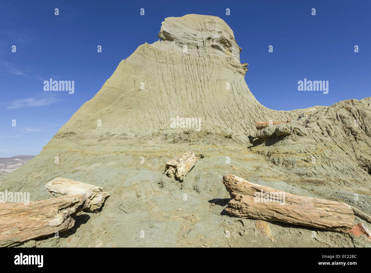 Petrified forest Bosque Petrificado National Monument, Sarmiento ...