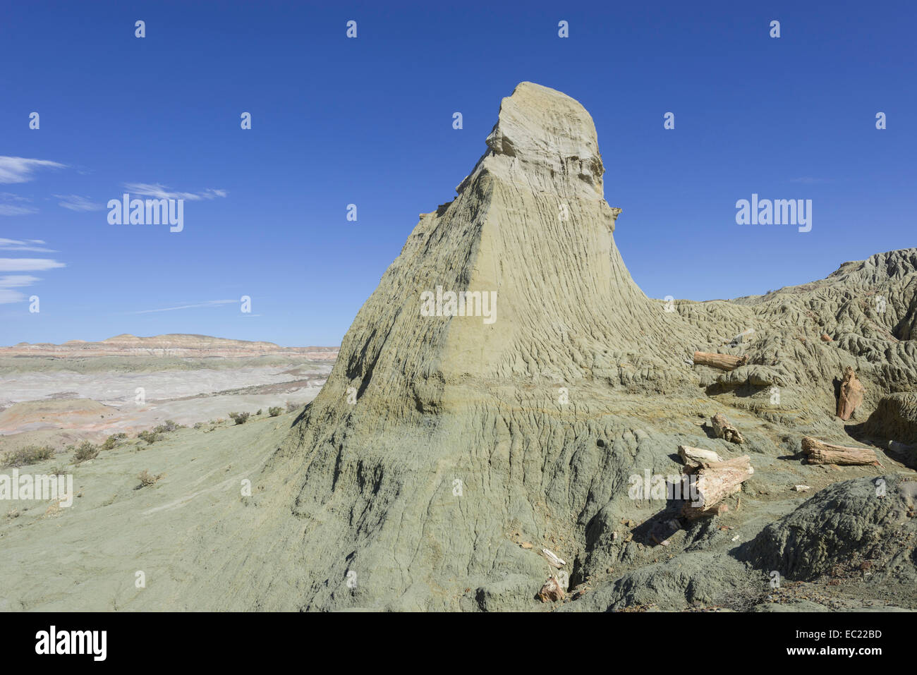 Petrified forest Bosque Petrificado National Monument, Sarmiento ...