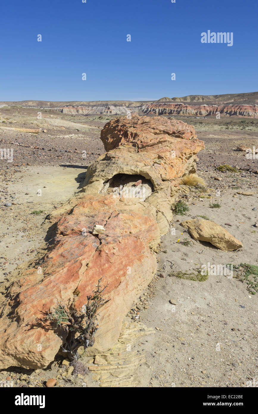 Petrified forest Bosque Petrificado National Monument, Sarmiento ...