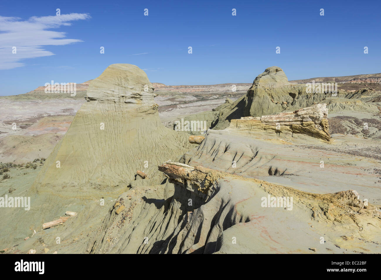 Petrified forest Bosque Petrificado National Monument, Sarmiento ...