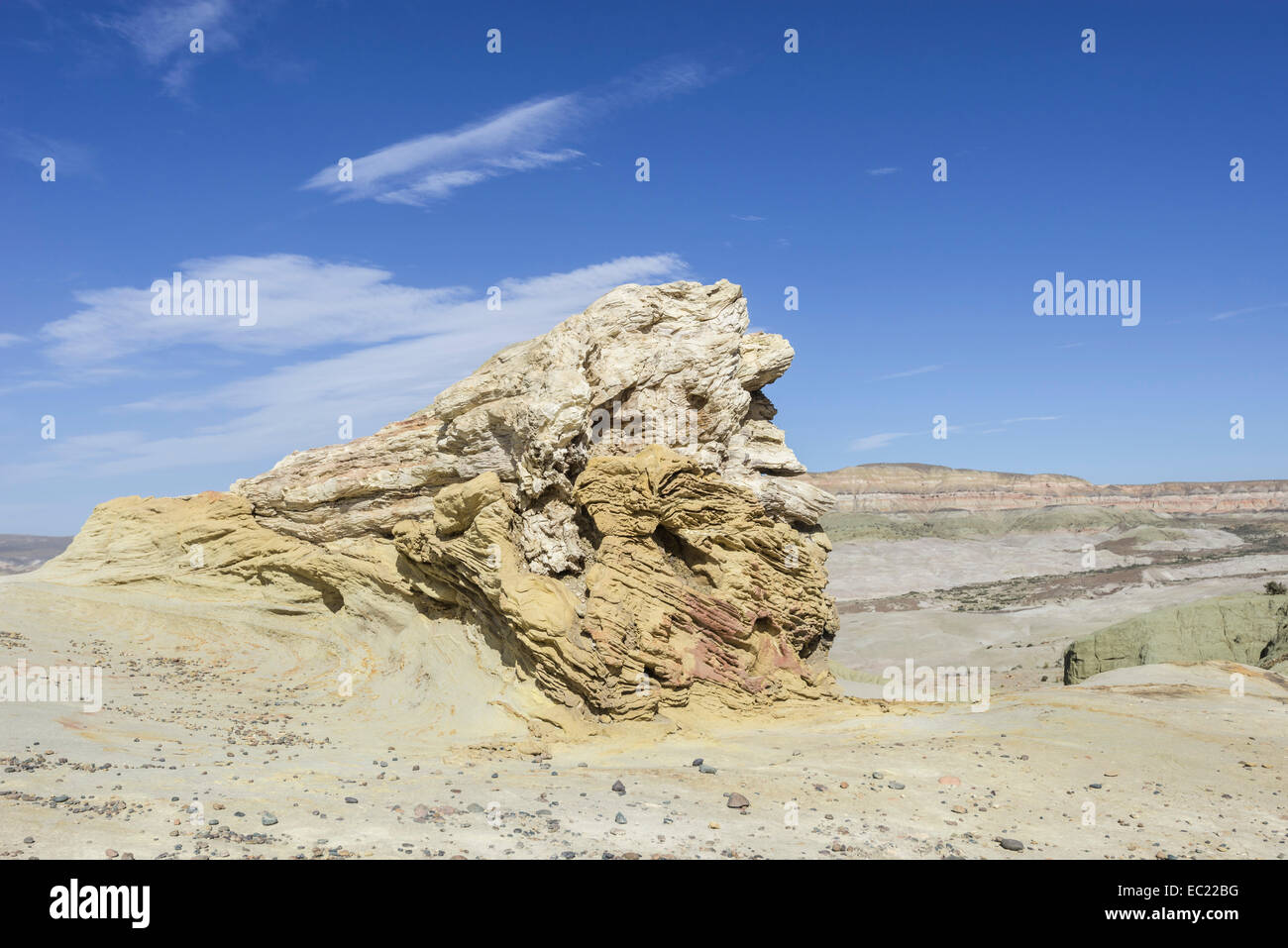 Bosque petrificado parque nacional hi-res stock photography and images ...